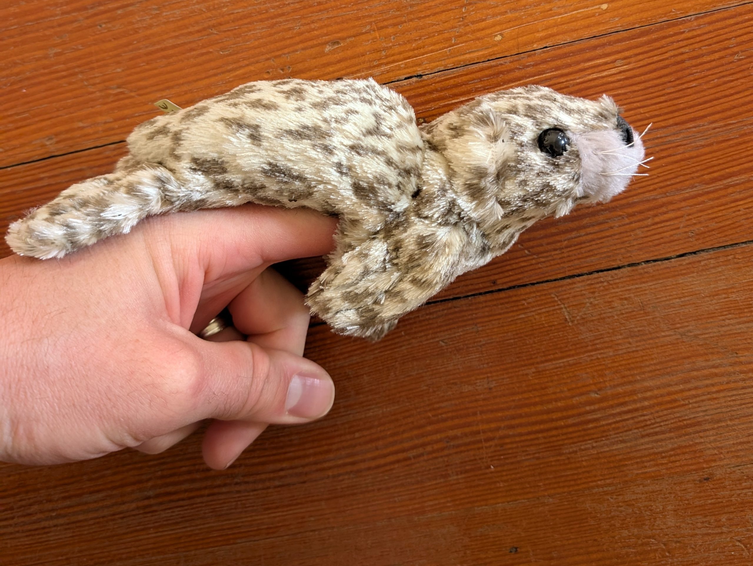 Finger Puppets – Kites and Puppets